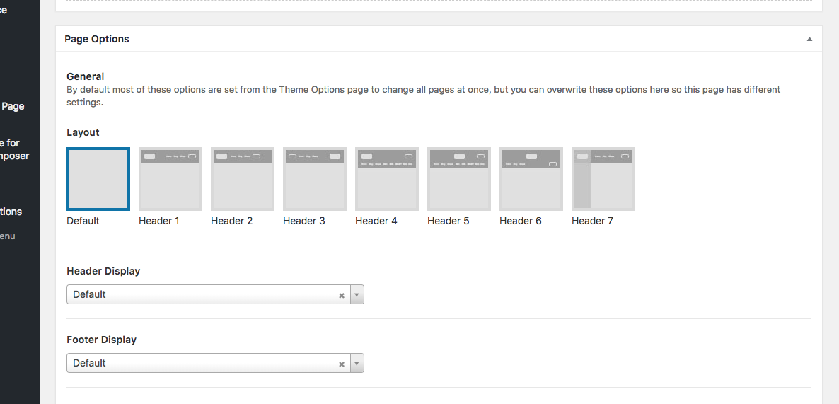 Theme Options – GhostPool.com Docs